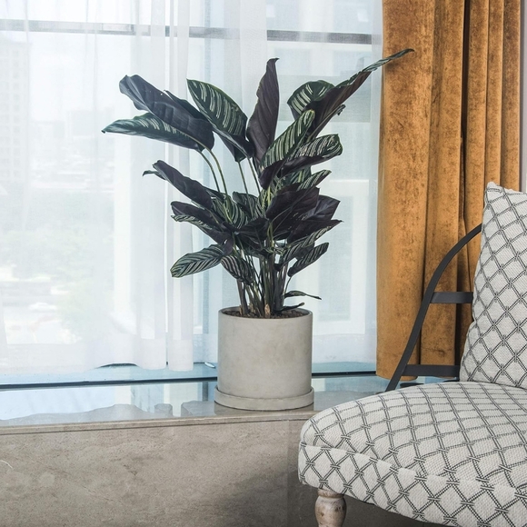 Accents | Ekirlin 9 Inch Flower Plant Pot Indoor Grey Cement Garden ...